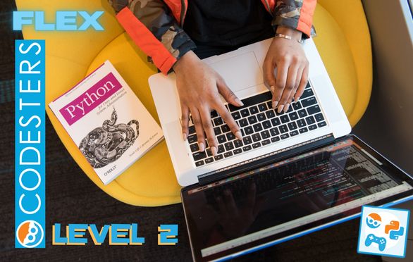 Coding Games And Animations Using Python Level 2 Beginners Flexible Schedule Small Online 4096