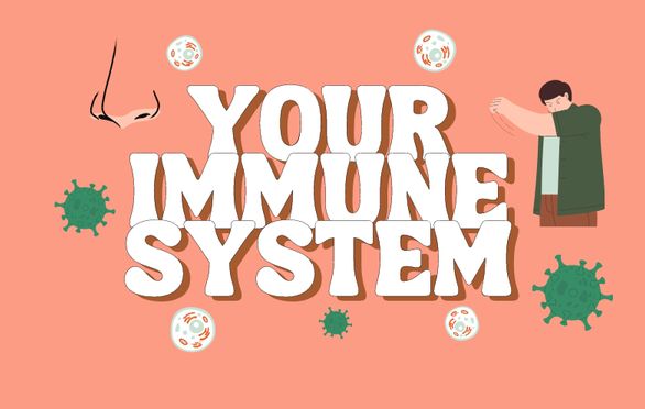 Advanced Middle School Biology The Immune System Small Online Class 